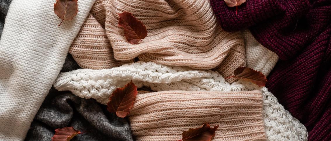 Cozy and Stylish Fall Sweaters for Women